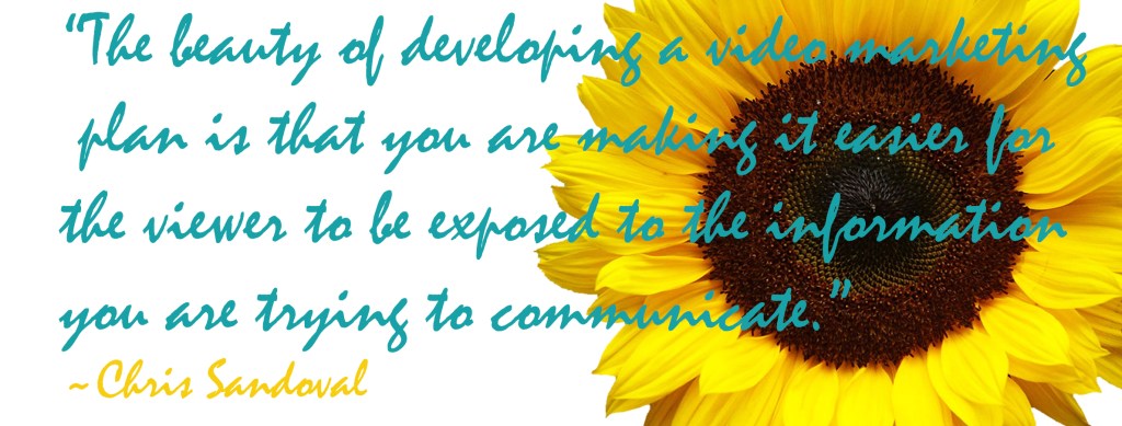 Video Killed the Radio Star But Can Breathe Life Into Your Brand ...